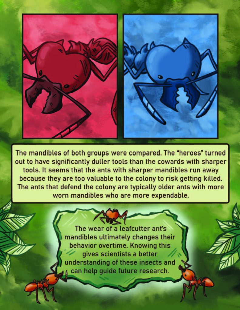 Leaf Cutter Ants How Small Insects Cut Through A Big World Science And Comics Initiative